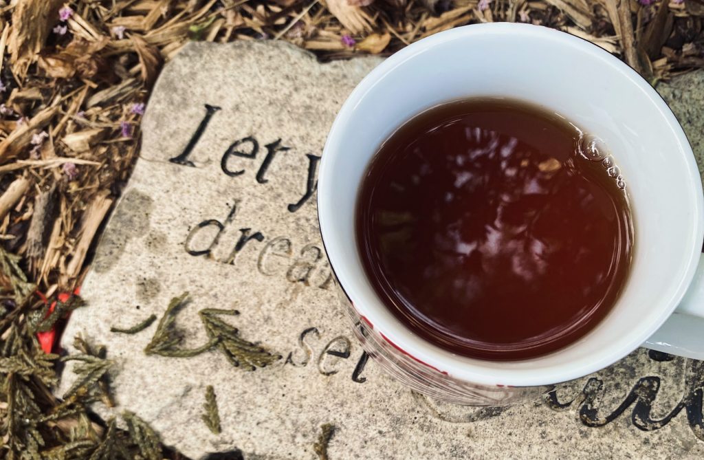 Cedar Tea - The Alchemist Diaries